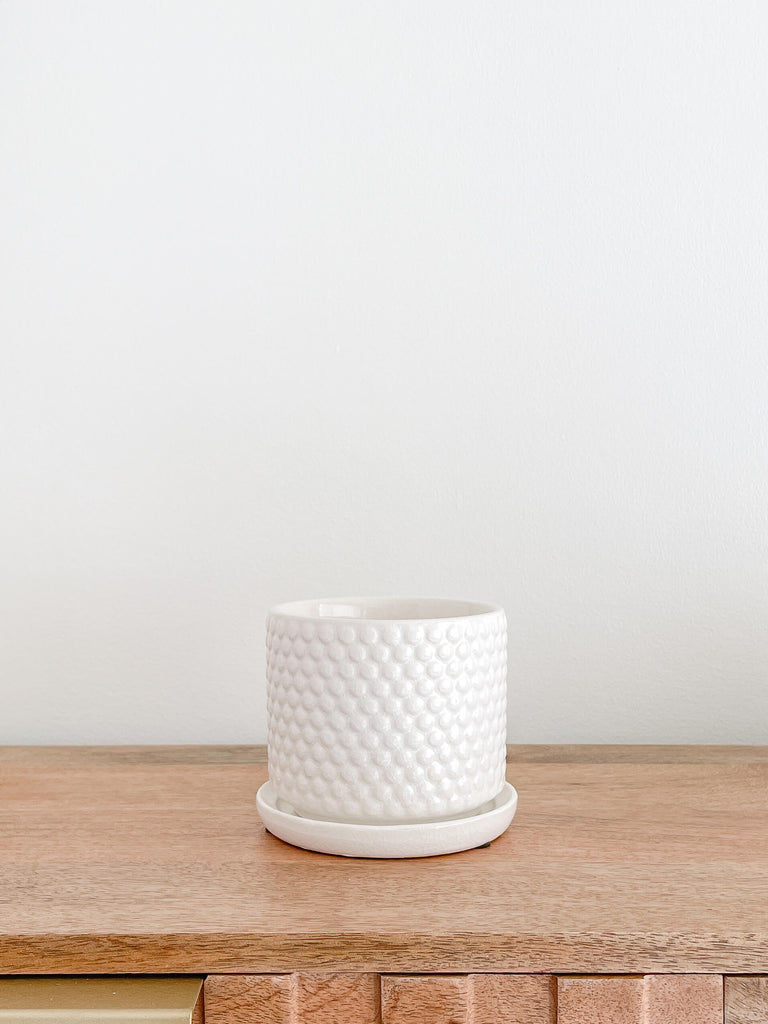 New Arrivals – Hycroft Home Decor